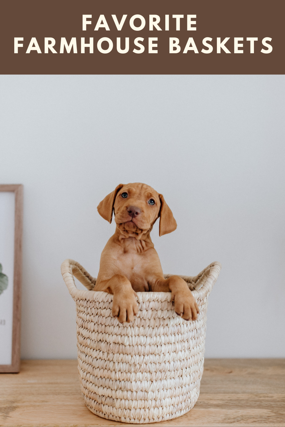 Favorite Modern Farmhouse Baskets - My Modern White Farmhouse